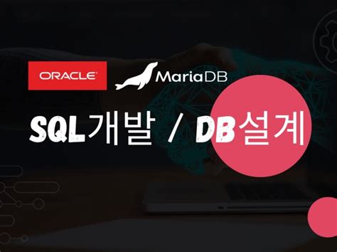 db설계 크몽 서비스 검색