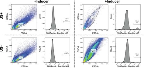 Flow Cytometry Quantification Gating Strategy For Quantifying Cell Download Scientific Diagram