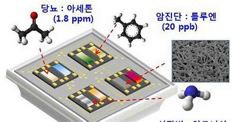 나노섬유 센서들로 구성된 날숨진단센서