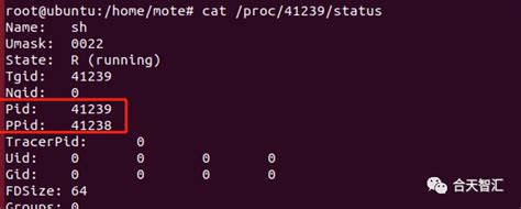 通过ld preload绕过disable functions csdn博客