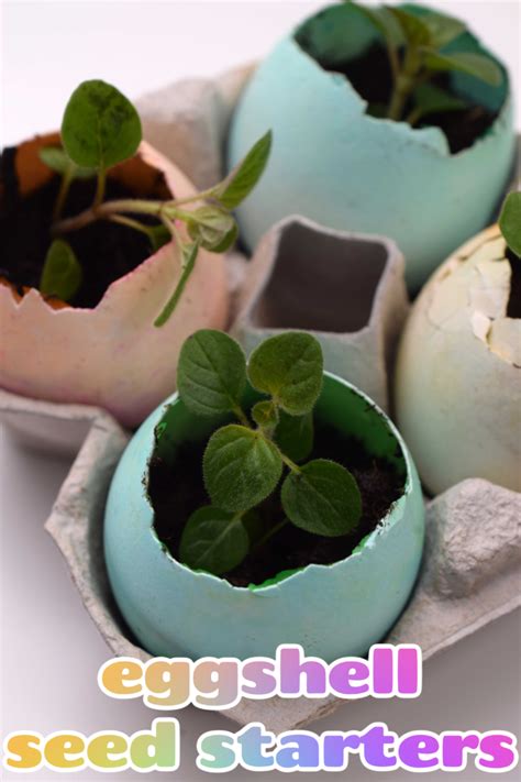 Eggshell Seed Starters As The Bunny Hops®