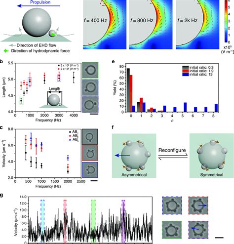 Dynamics Of Colloidal Molecules By Purely Dielectric Spheres A Download Scientific Diagram