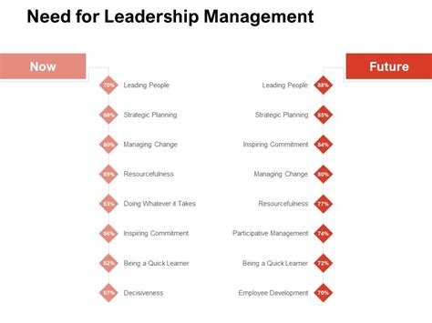 Team Manager Administration Need For Leadership Management Professional Pdf