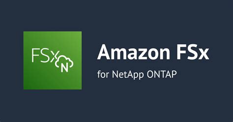 Amazon Fsx For Netapp Ontapをterraformで構築してみた Developersio