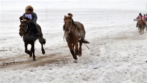 Эрдэнэбүрэн суманд морь уралдуулж хүүхдийн эрх зөрчсөн үйлдлийг шалгуулахаар ХГБХХ ын газарт