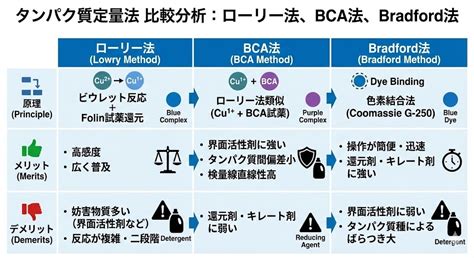 ローリー法のメリットとタンパク質定量法の比較検証