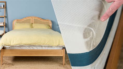 Bed Bugs Or Fleas Whats Biting You In Bed Toms Guide