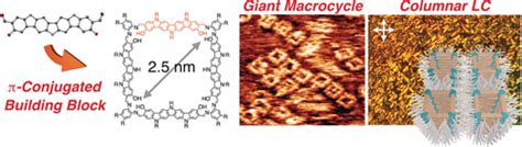 Columnar Liquid Crystals From A Giant Macrocycle Mesogen Kawano 2018 Angewandte Chemie