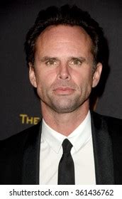 241 Walton Goggins Images Stock Photos 3D Objects Vectors