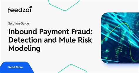 Inbound Payment Fraud Detection And Mule Risk Modeling Feedzai