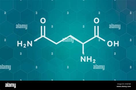 Glutamine L Glutamine Gln Q Amino Acid Molecule White Skeletal