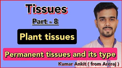 Plant Tissue Permanent Tissue Class Biology Acharyaplus Youtube