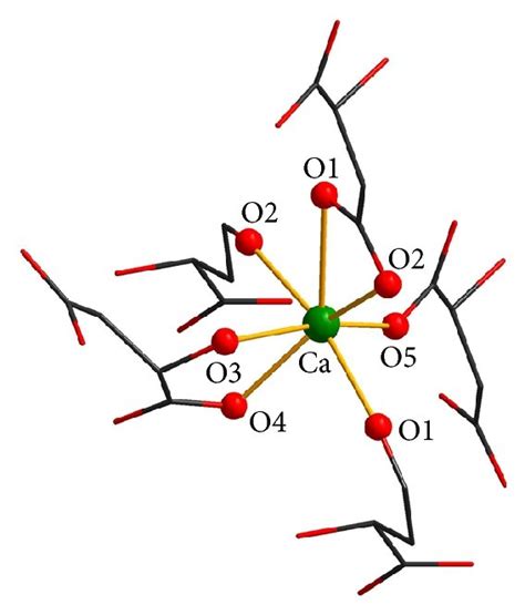 A The Coordination Spheres Of Calcium Atom In The Complex B The