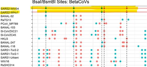 New Evidence For Sars Cov 2 Lab Origins