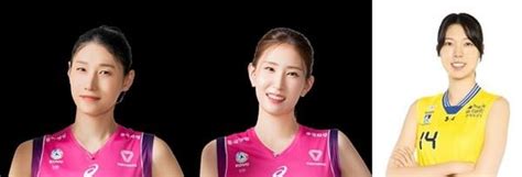 더쿠 극장판 하이큐 쓰레기장의 결전 25일 김연경 X 김수지 X 양효진 선수 레전드 스페셜 Gv