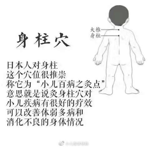 小儿推拿杨晓孩子长个在春季艾灸身柱穴宝宝长高身体好