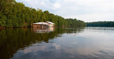 SWAMP Database Management SWAMP