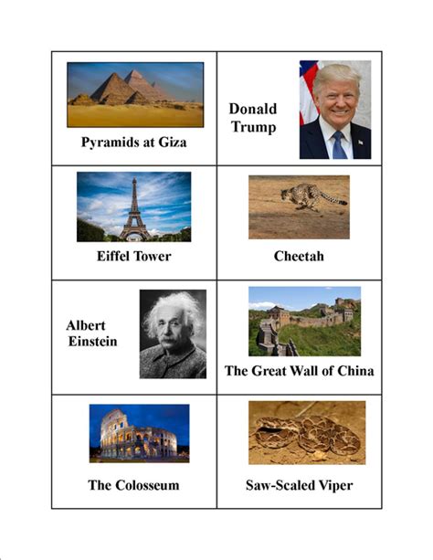 Relative Clause Games — 🛍️ The Retail Market