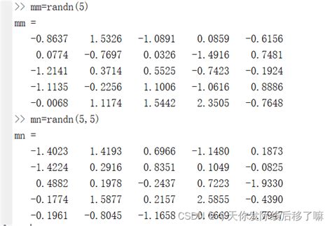 Rand、randn和randi的区别 Csdn博客