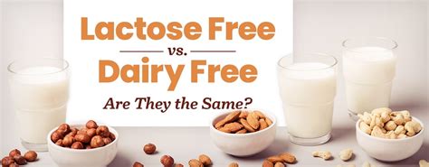Is Lactose Free The Same As Dairy Free Dairy Alternatives Explained