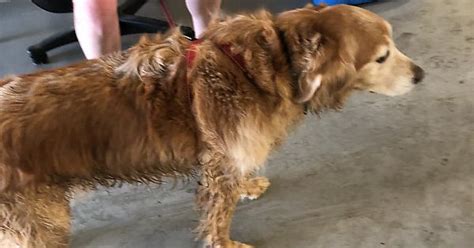 Cfpnc Album On Imgur