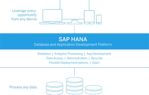 Was Ist Sap Hana In Memory Computing Echtzeitanalysen