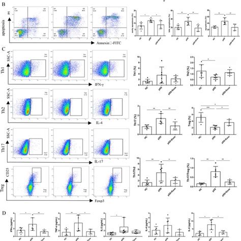 Ucmsc Exos Regulated The Proliferation Apoptosis And Differentiation