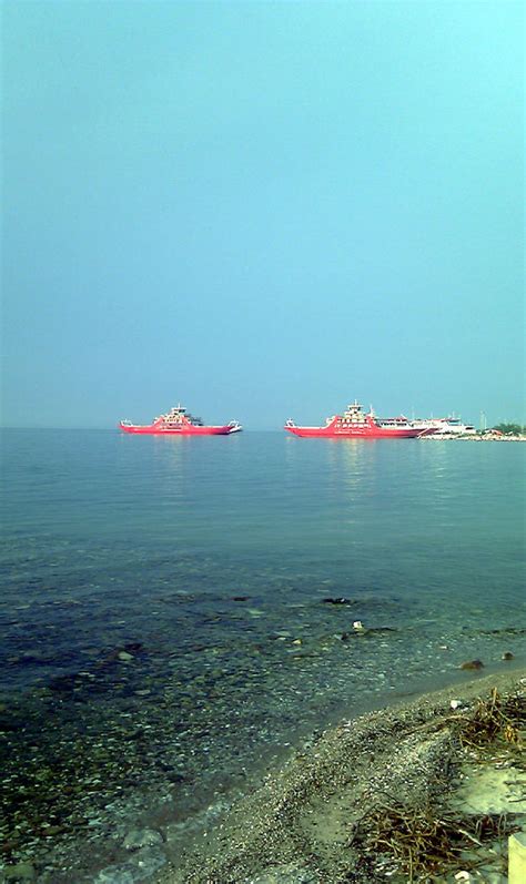 Machitis Machitis Shipfriends