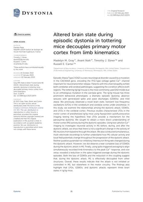 Pdf Altered Brain State During Episodic Dystonia In Tottering Mice