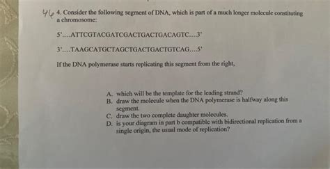 Solved 46 4 Consider The Following Segment Of DNA Which Is Chegg