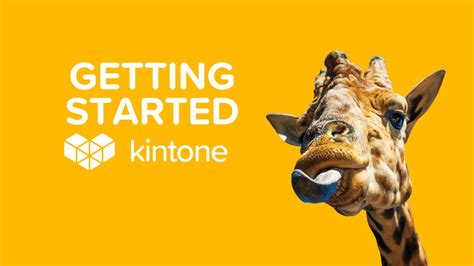 Kintone Documentation Videos Kintone No Code Enterprise Application Platform Kintone