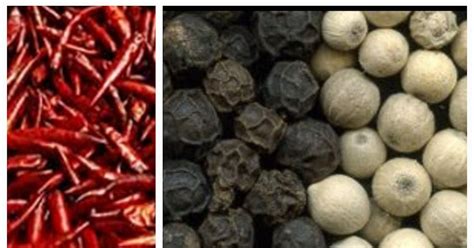 உள்ளத்தின் ஒலி பழுத்தாலும் பழமாகாத மிளகாய்