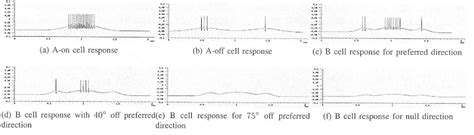 Figure 4 From Large Scale Models In The Visual Pathway Of Turtles Visual Cortex And The Retina