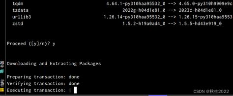 成报错功解决The pathlib package is an obsolete backport of a standard library package the pathlib