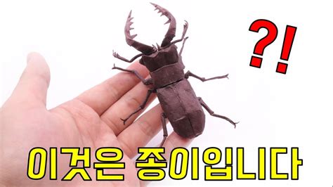 이게 가능해 톱사슴벌레 한장 종이접기 Youtube