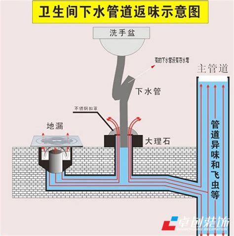 排水顺畅有保障 地漏选购安装全攻略 装修材料 卓创建筑装饰