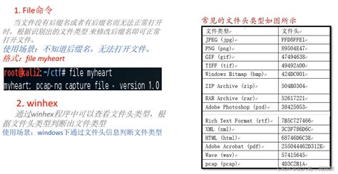 Ctf网课笔记 Csdn博客
