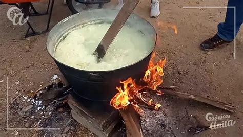 Cómo Preparar Caldo Sulfocálcico Beneficios Como Fungicida E Insecticida