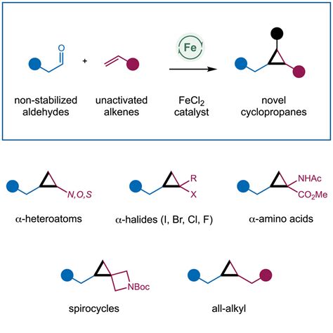 Cyclopropanation Of Unactivated Alkenes With Non Stabilized Iron