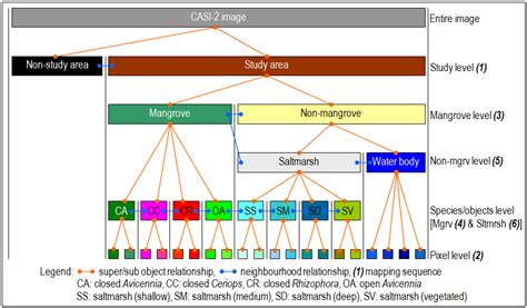 Hyperspectral Data For Mangrove Species Mapping A Comparison Of Pixel Based And Object Based