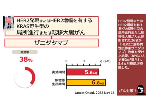 日本がん対策図鑑 【her2陽性大腸がん】ザニダタマブ