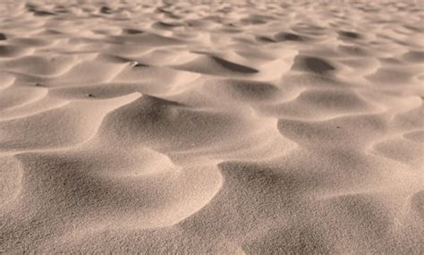 Premium Photo Grains Of Desert Sand From Dunes On Windy Beach In Nature With Copyspace Closeup
