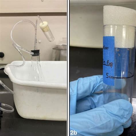 Depicts The Results Of The Cafe Assay There Is A Significant