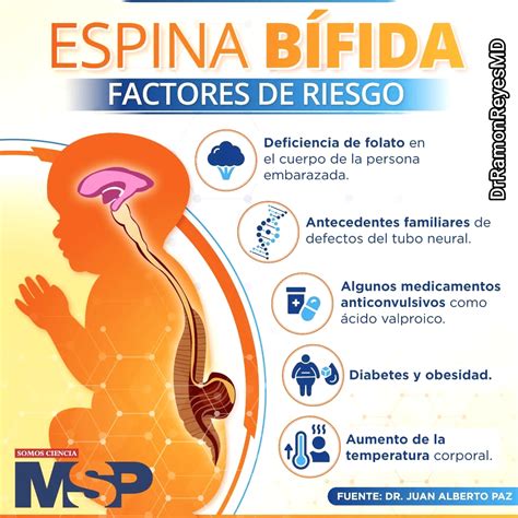 Ems Solutions International Espina Bífida