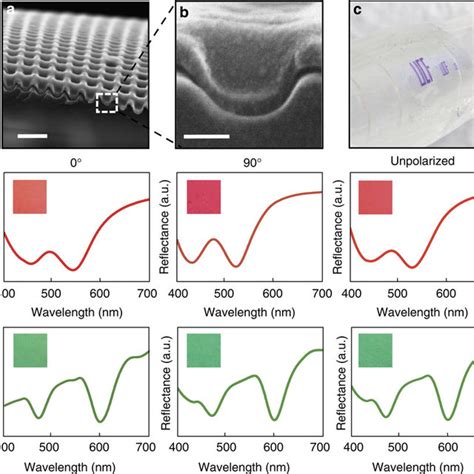 Liquid Crystal Orientation States And Plasmonic Modes A Schematic Download Scientific