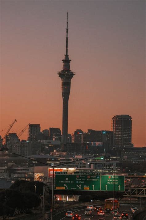 스카이 타워와 함께 일출의 오클랜드 스카이라인 · 무료 스톡 사진