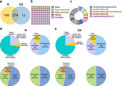 Characterization Of Intact Glycopeptides From Oa And Control