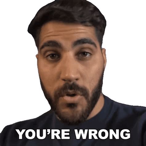 Youre Wrong Rudy Ayoub Sticker Youre Wrong Rudy Ayoub Youre Incorrect