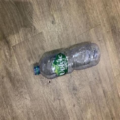 Yolov5 Garbage Detection Object Detection Dataset V1 2023 09 22 2