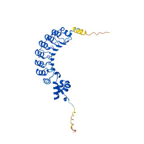 RCSB PDB AF AFQ H F Computed Structure Model Of F Box LRR Repeat Protein